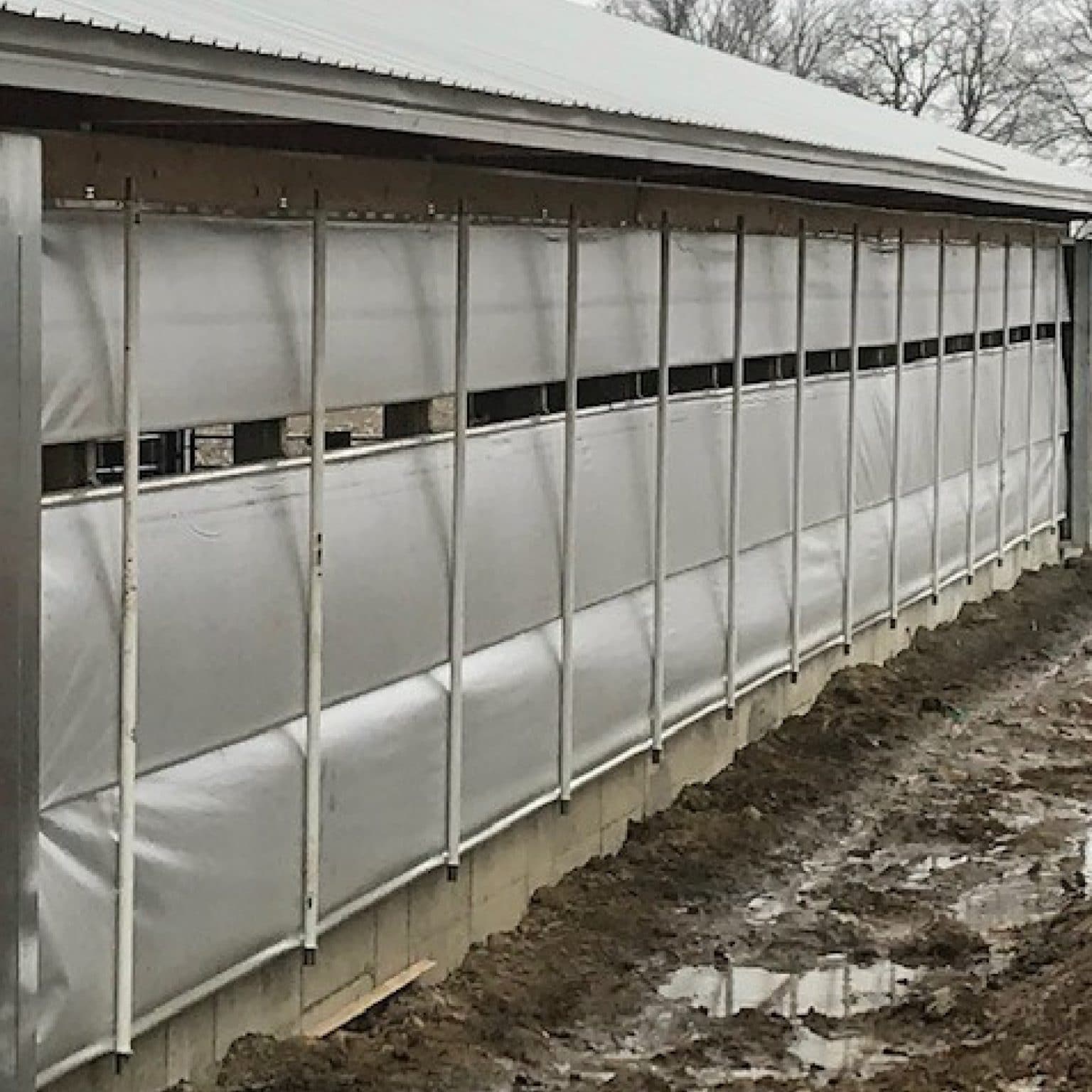 Roll Up Dairy Barn Curtains | AKA Livestock Curtains