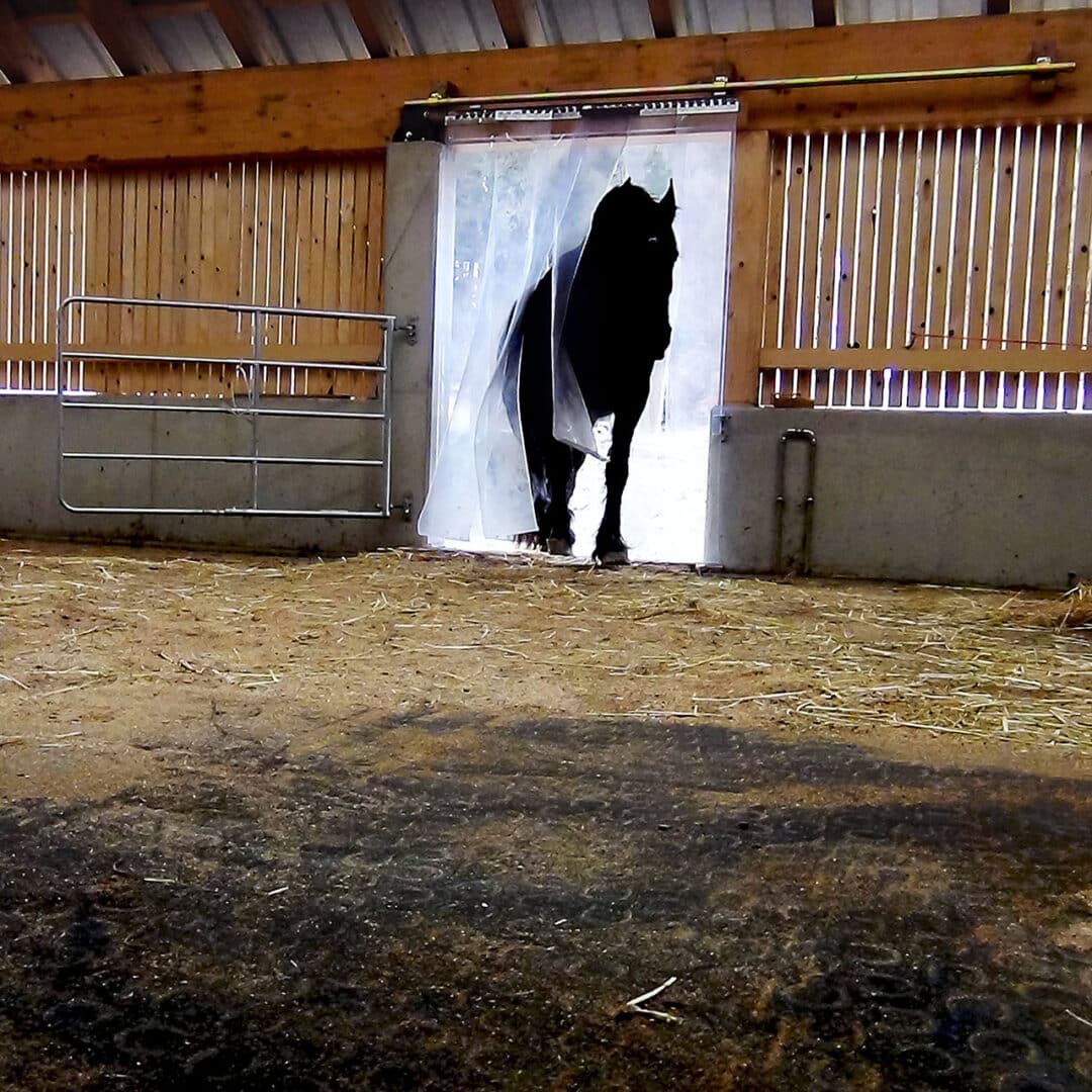 Thick Rubber Stall Mat | Belmondo Trend Premium Rubber Mats