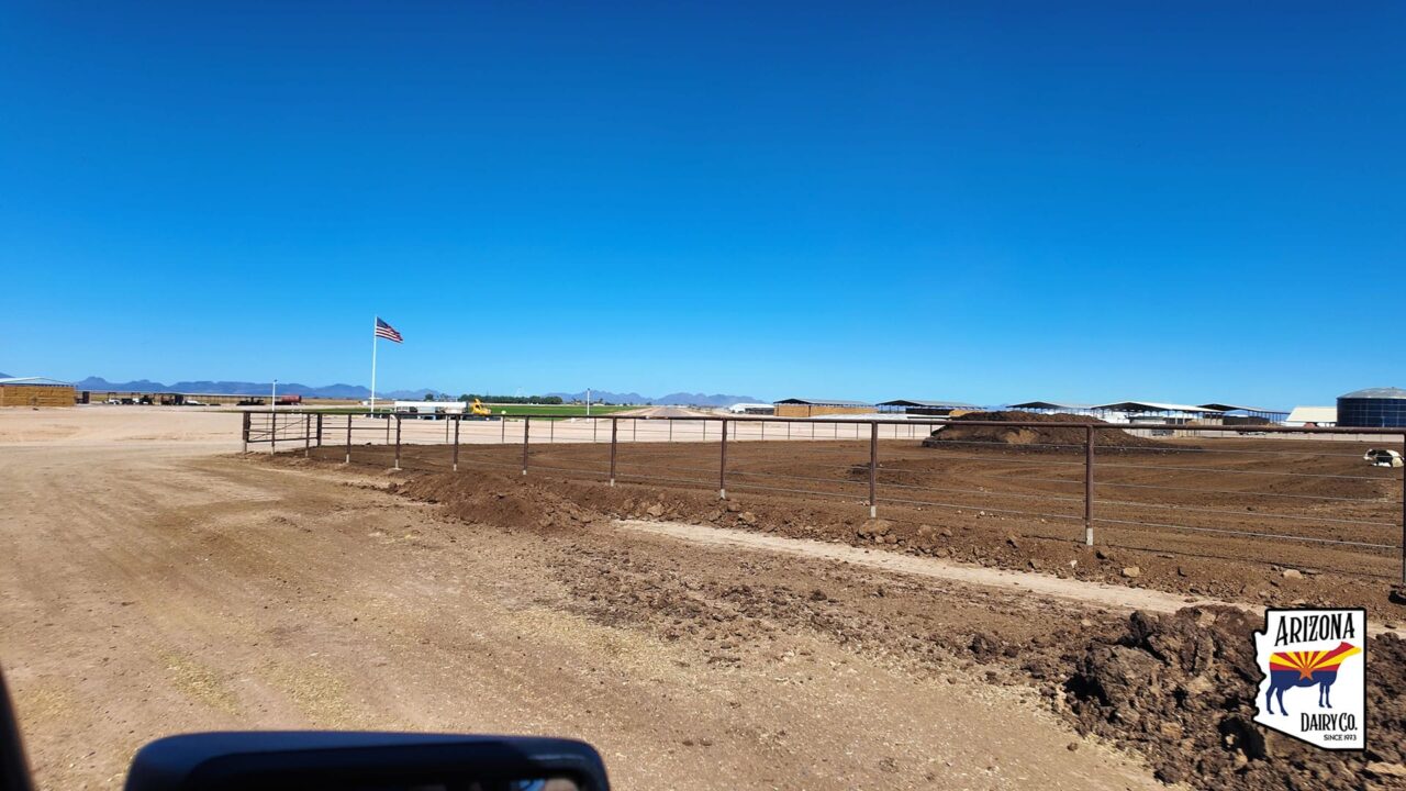 Arizona Dairy Company – Gila Bend, AZ | Milking Parlor Mats