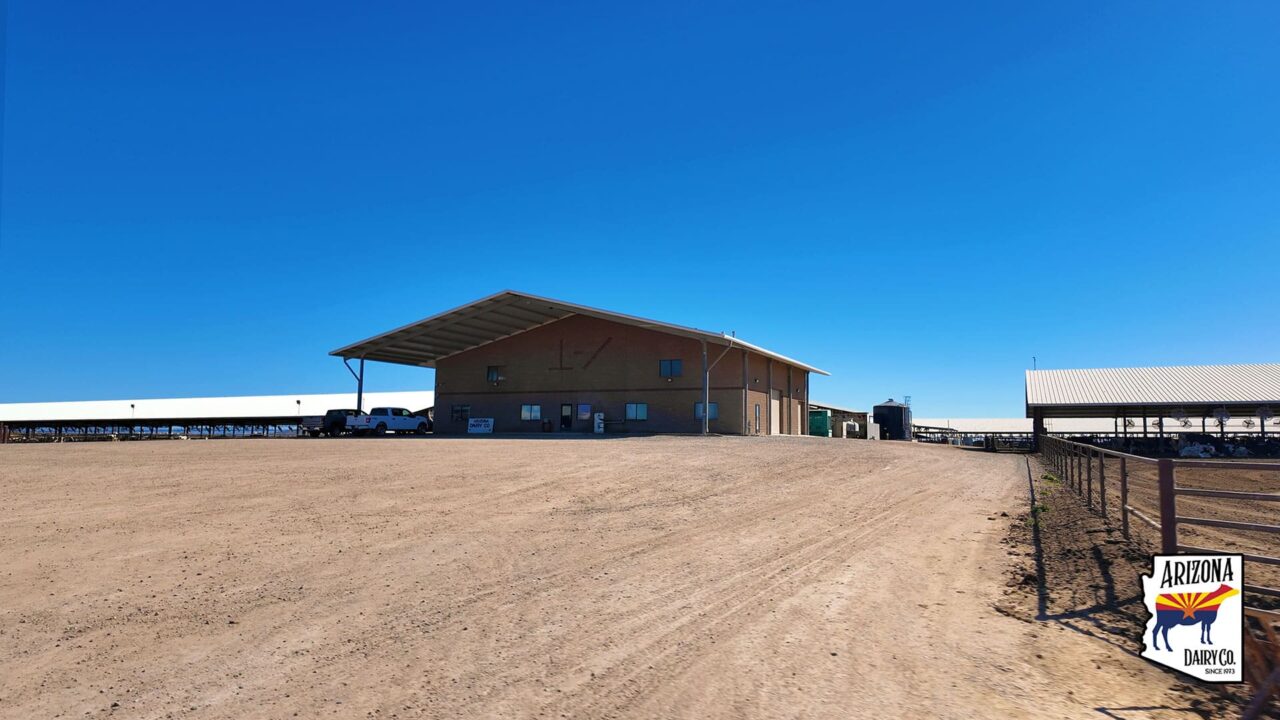 Arizona Dairy Company – Gila Bend, AZ | Milking Parlor Mats