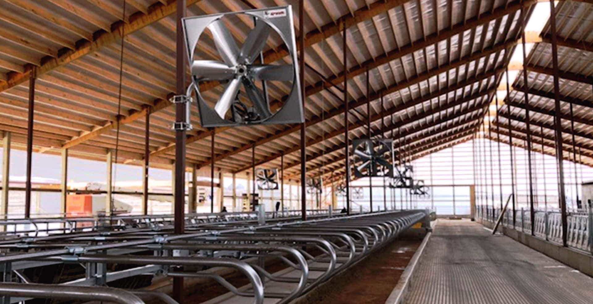 Agromatic Inc. | Agricultural Equipment | Cows + Comfort = Milk!